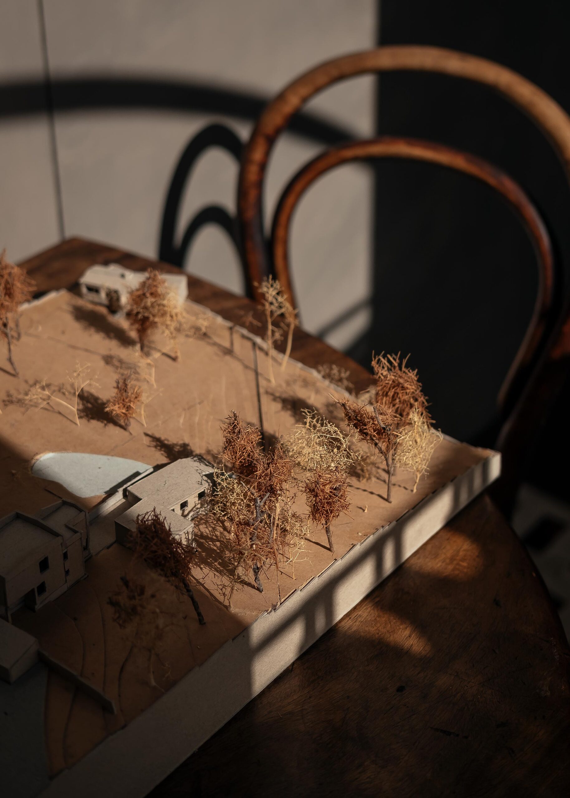 Practice — Tuckey Design Studio